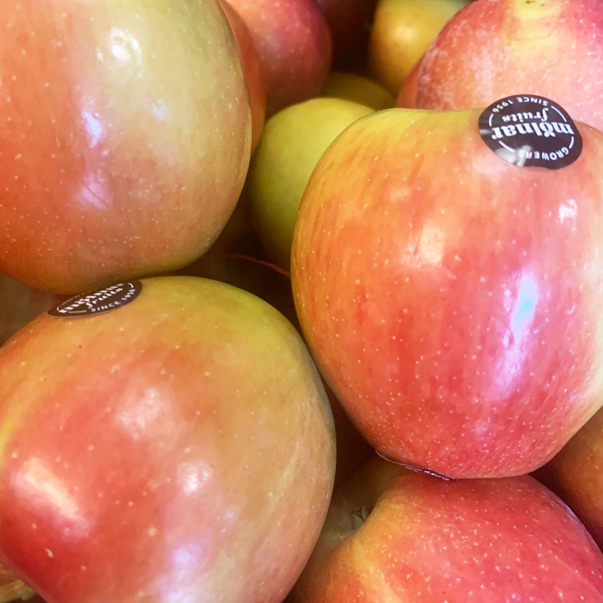 Apples - Braeburn – Highgate Greens and Blooms