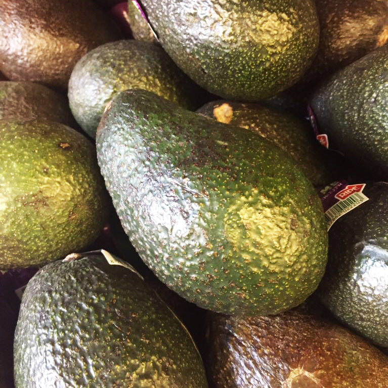 Haas Avocado – Highgate Greens and Blooms