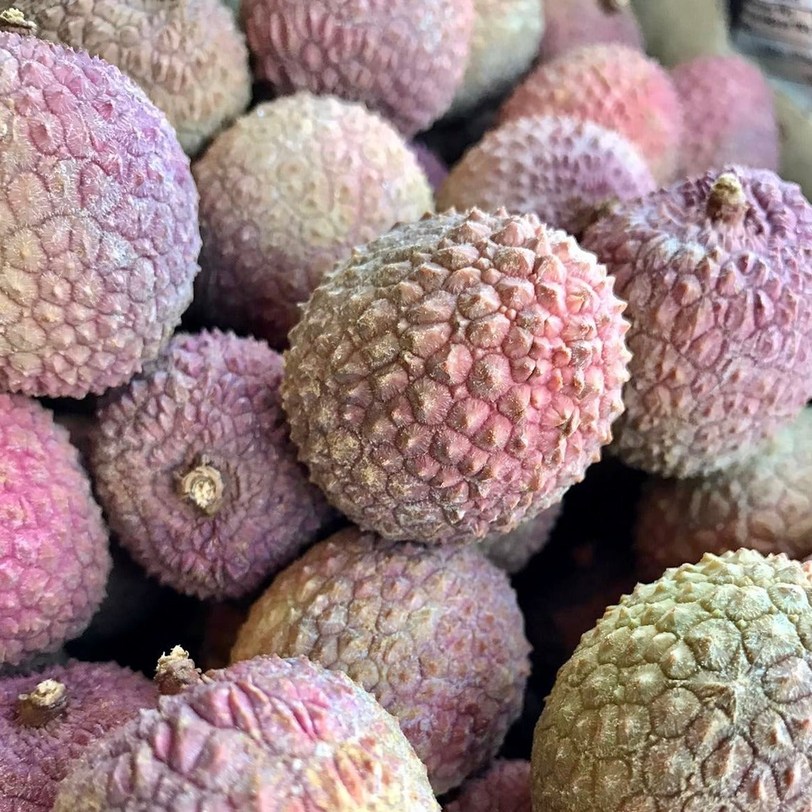 Lychees – Highgate Greens and Blooms
