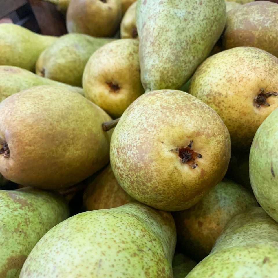 Conference Pears – Highgate Greens and Blooms