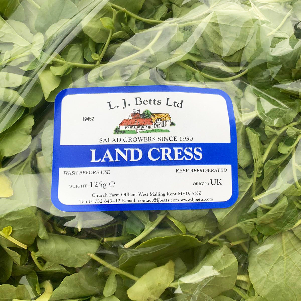 Land Cress – Highgate Greens and Blooms